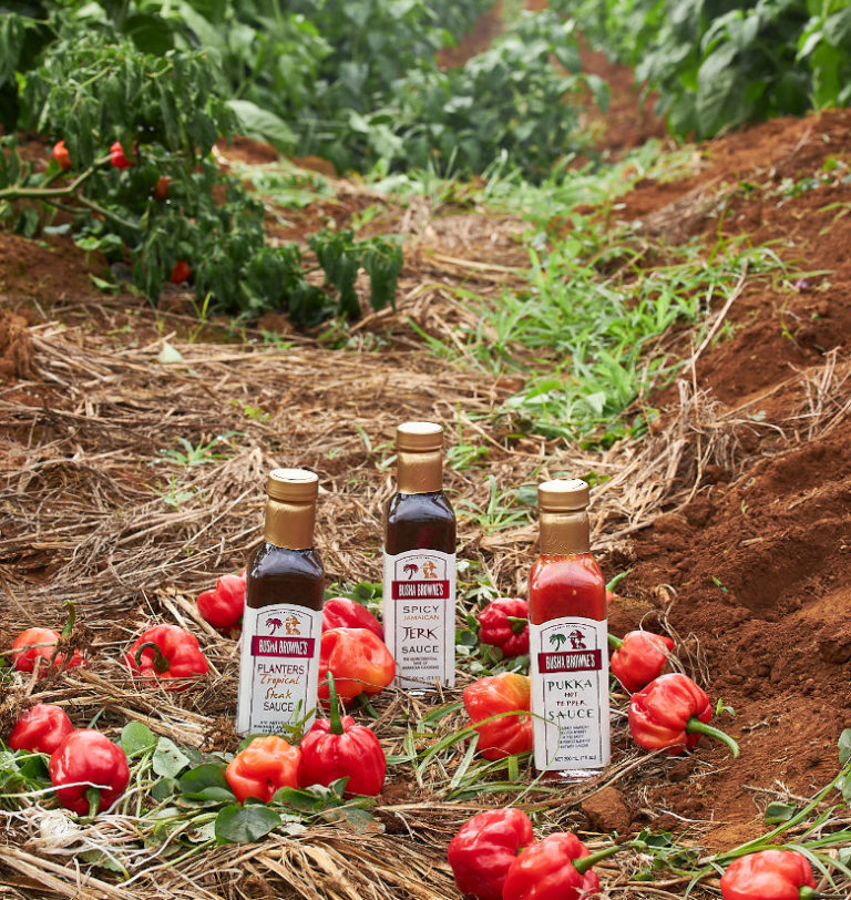 Busha Browne's - Fresh ingredients, artisan quality...Jamaican ...