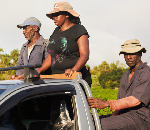 On the Farm - Busha Browne's